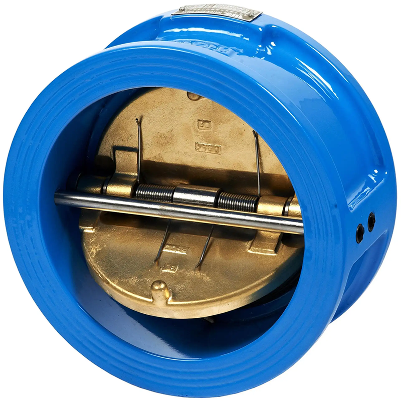 Dual plate check valve store